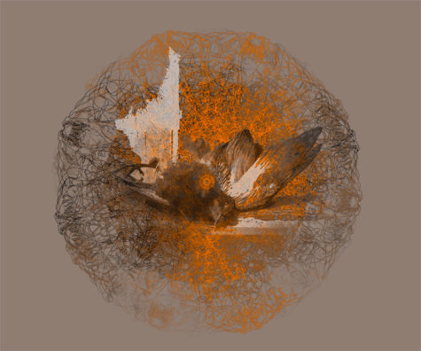 Untitled #10 – Rust & Moth