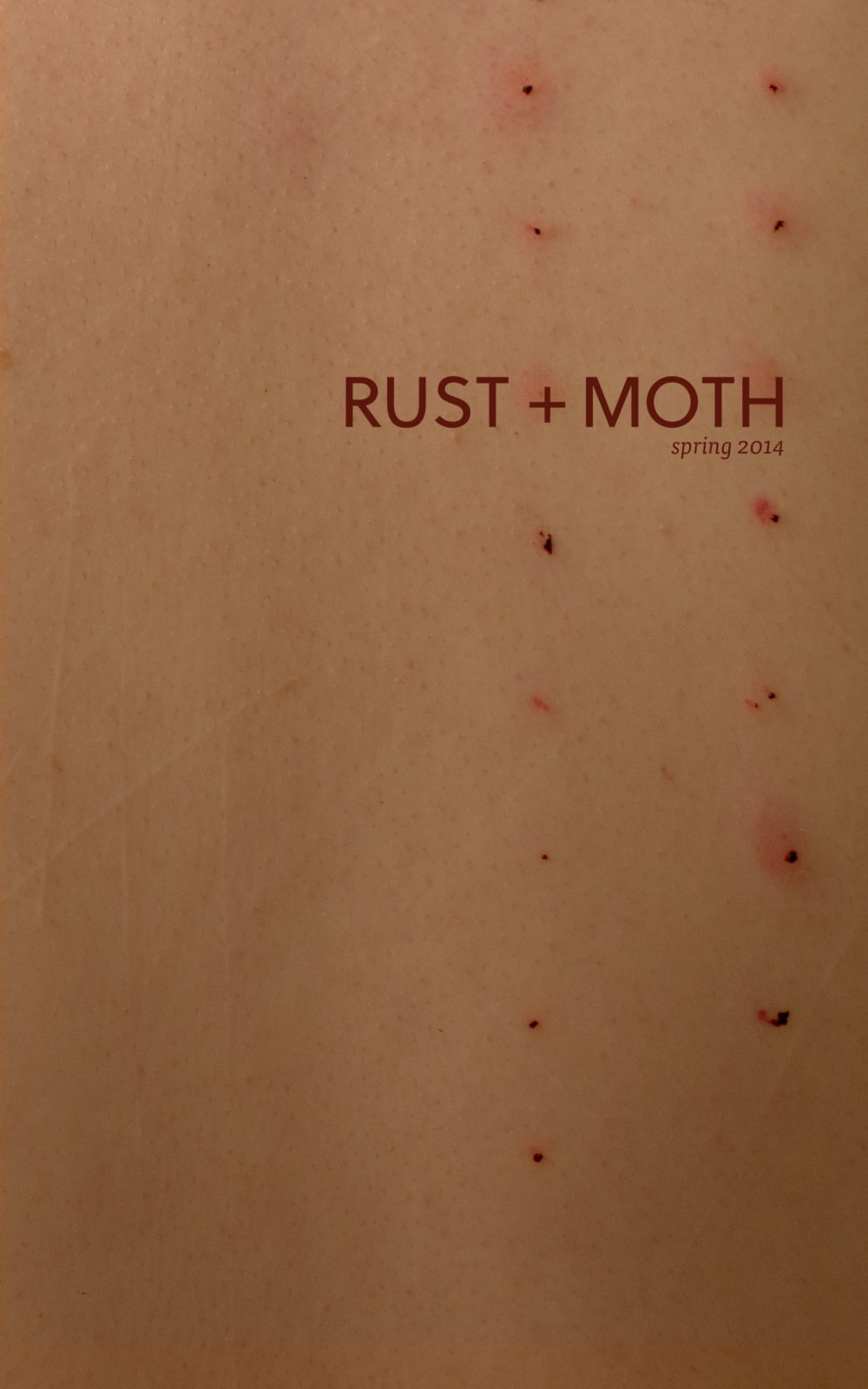 Spring 2014 Rust Moth