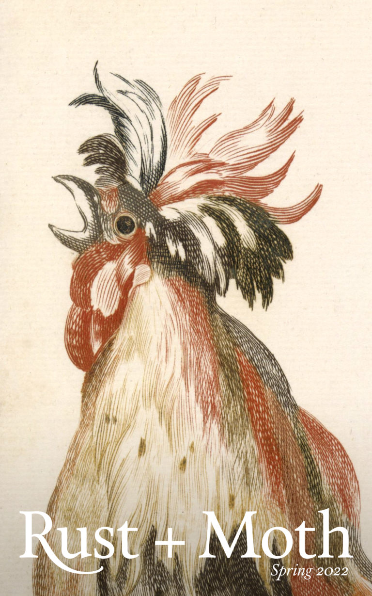 Rust & Moth – A Journal Of Poetry And The Arts