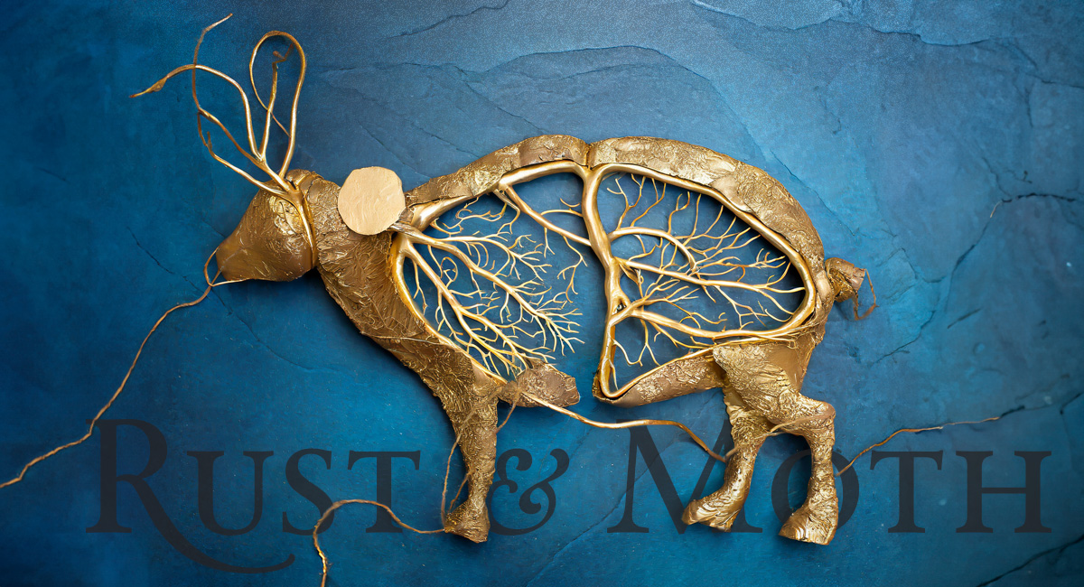 Spring 2024 – Rust & Moth