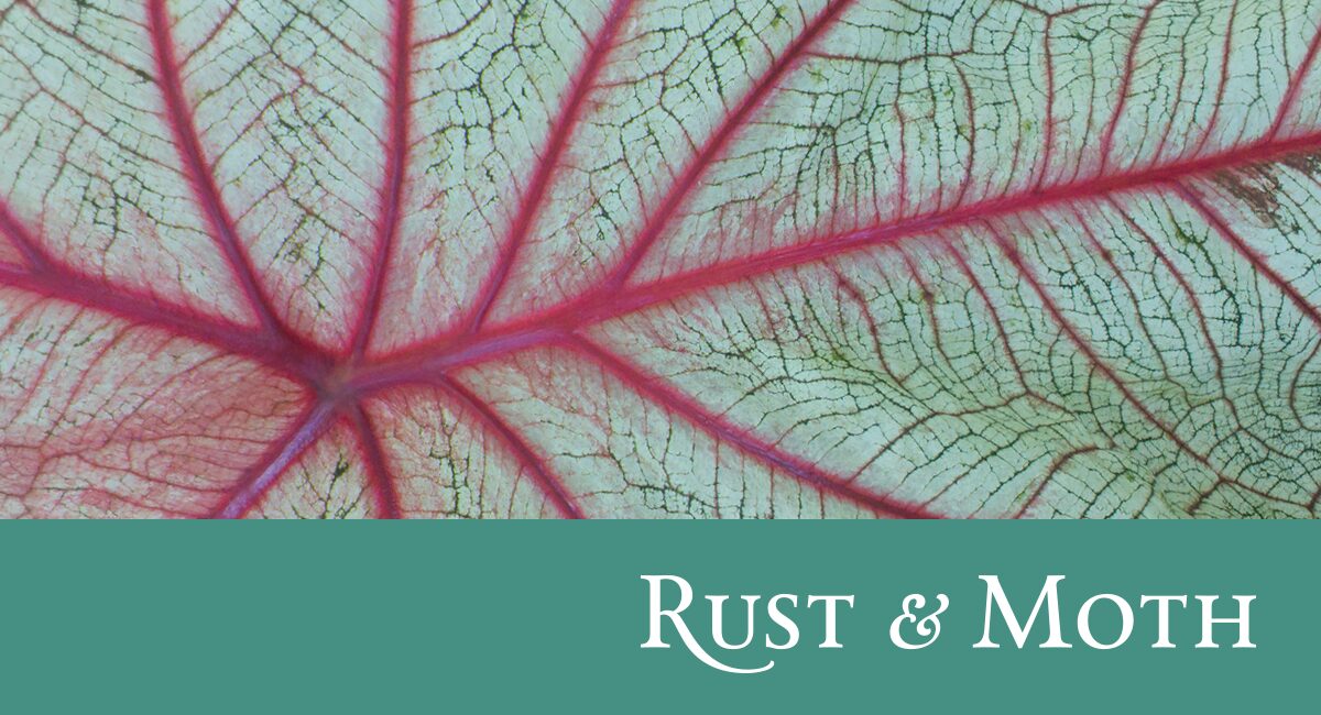 Variations in Stain – Rust & Moth